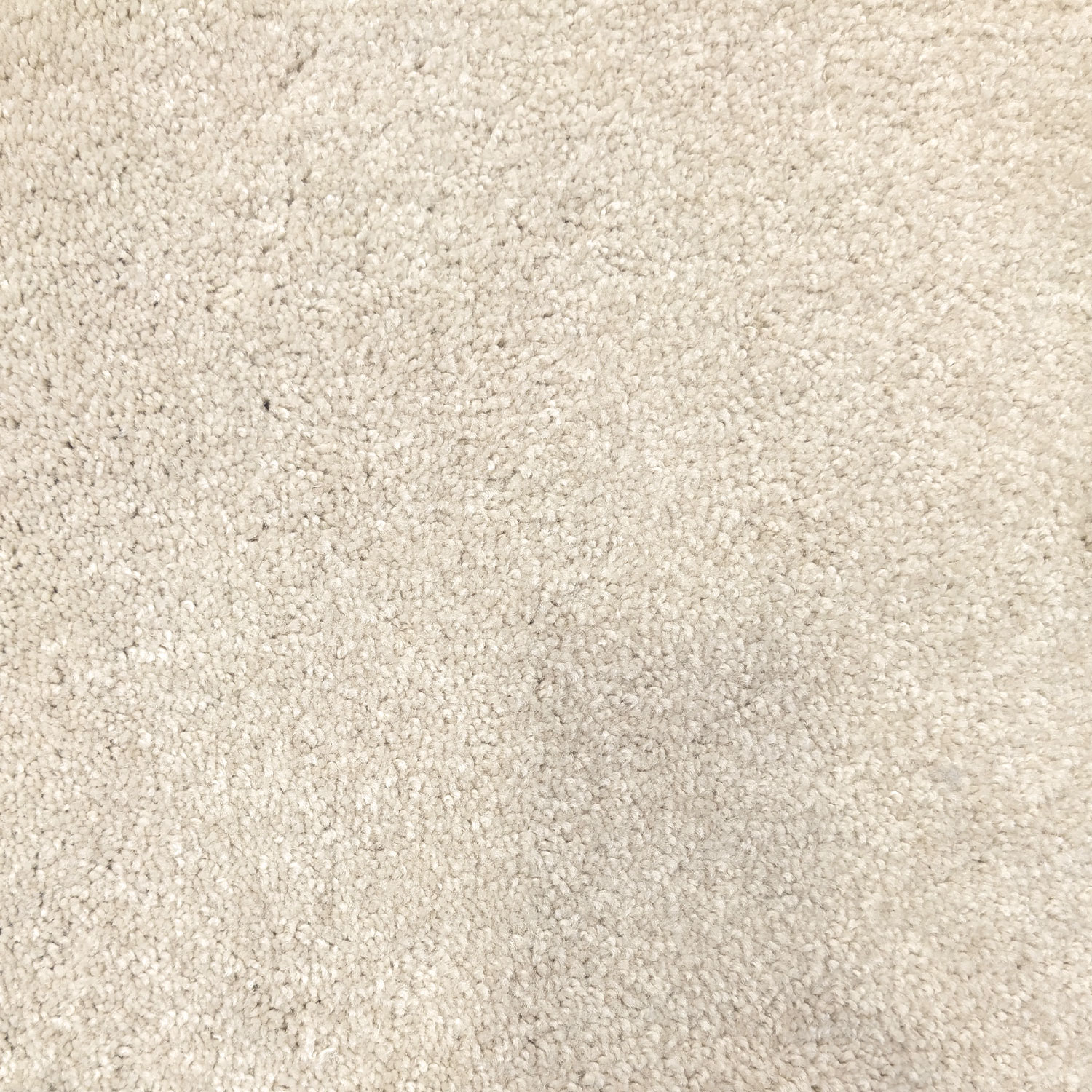 Carpet - S&G Carpet and More