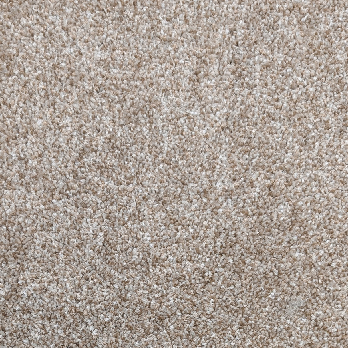 True Form - S&G Carpet and More